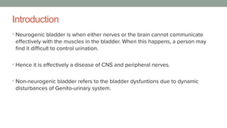 presentation on neurogenic bladder including anatomy | PDF