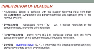 presentation on neurogenic bladder including anatomy | PDF