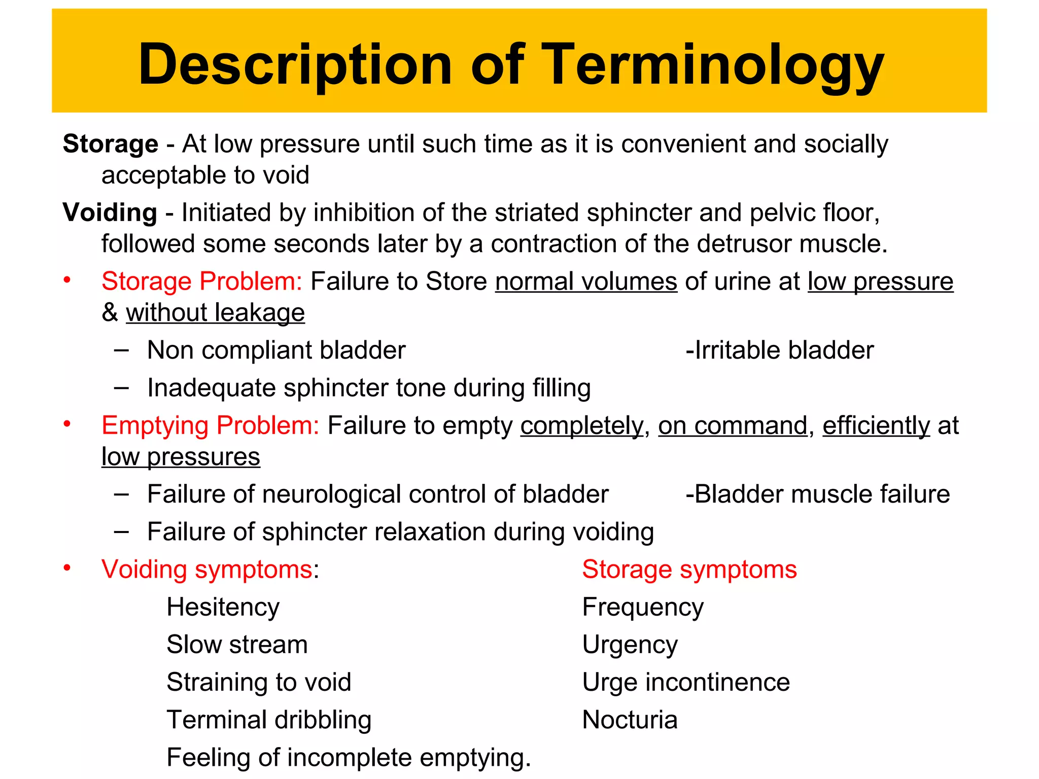 Neurogenic Bladder | PPT