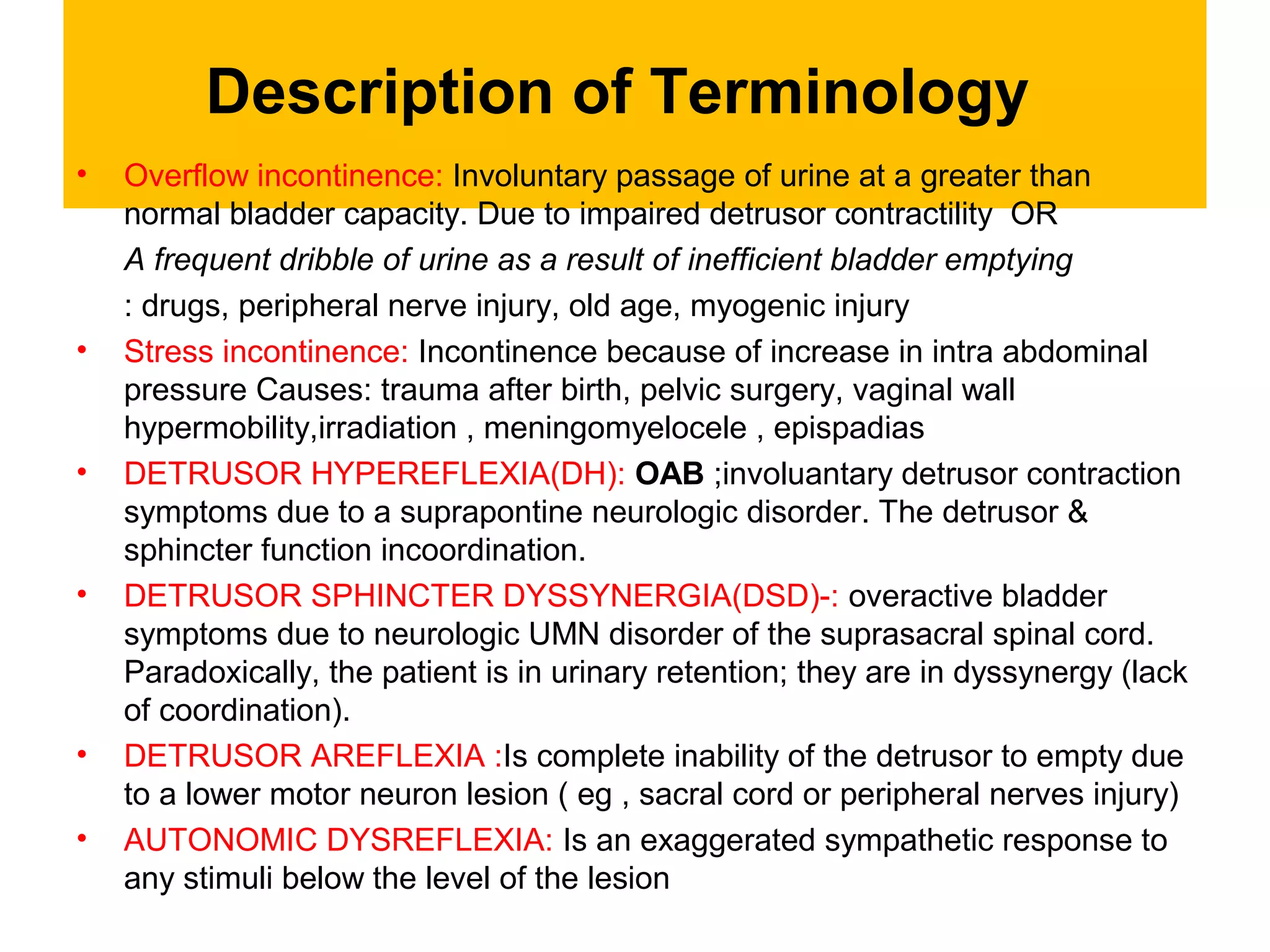 Neurogenic Bladder | PPT