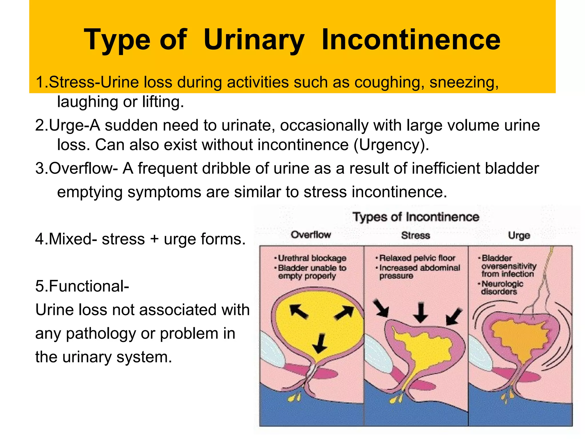 Neurogenic Bladder | PPT