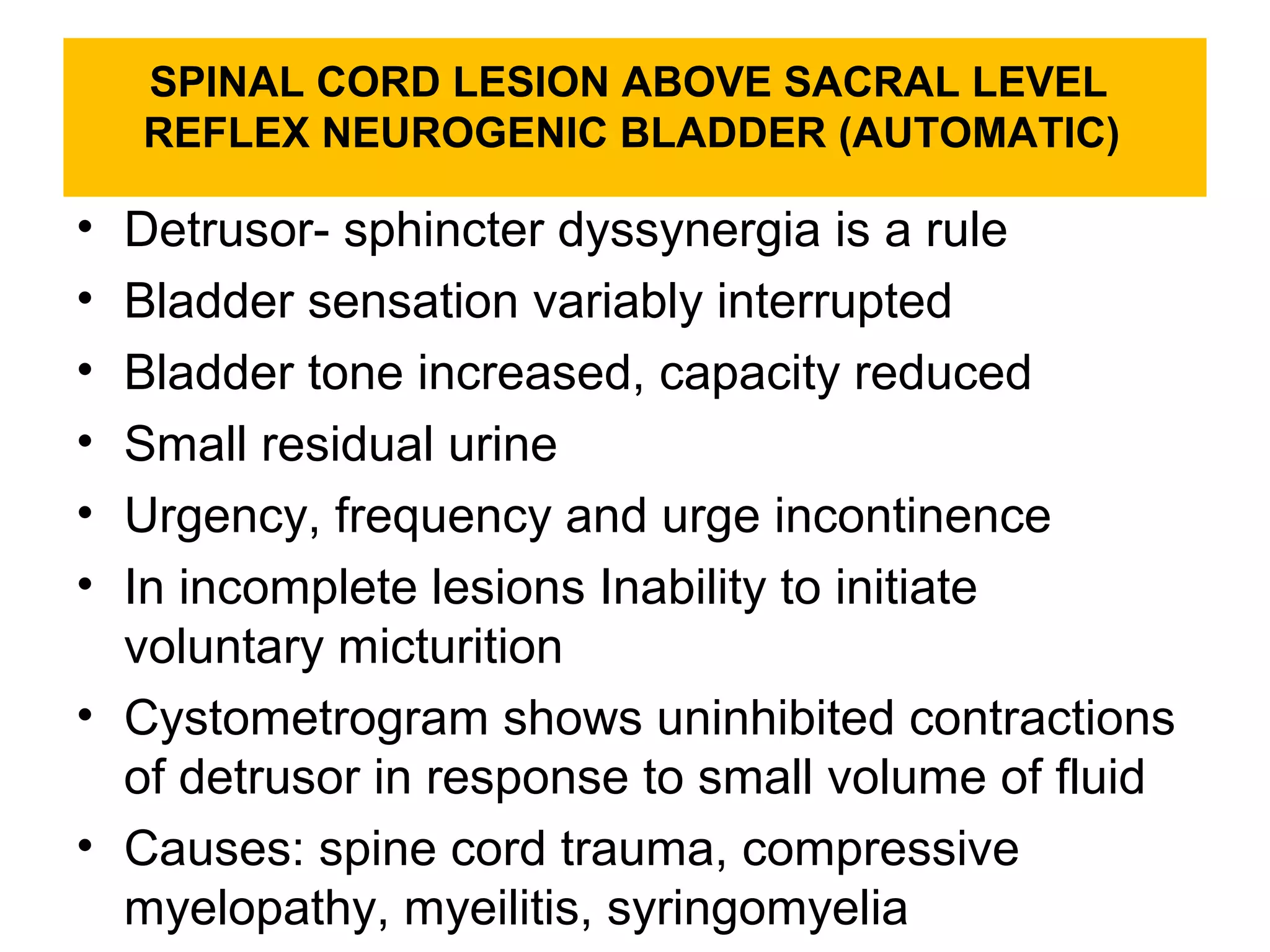 Neurogenic Bladder | PPT