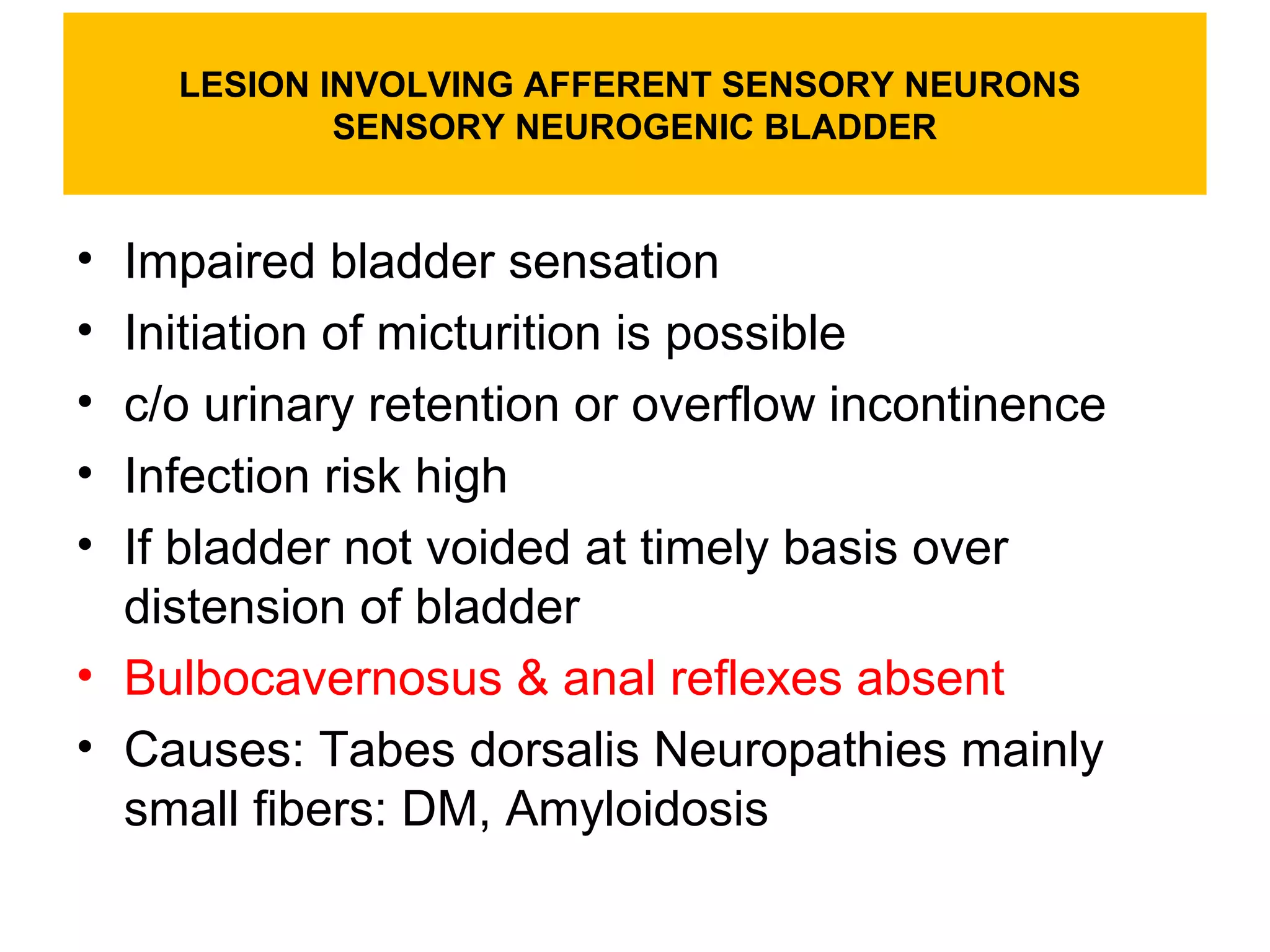 Neurogenic Bladder | PPT