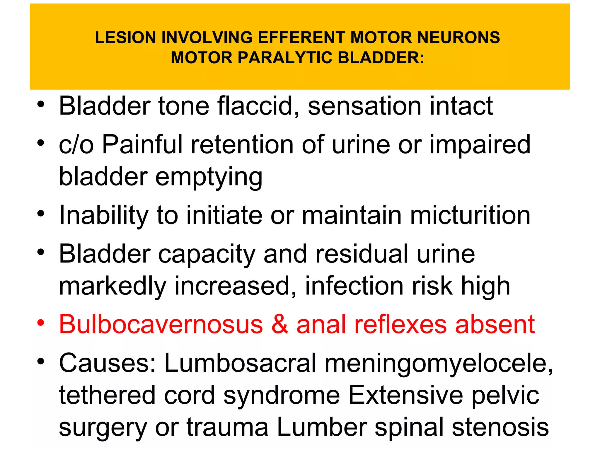 Neurogenic Bladder | PPT