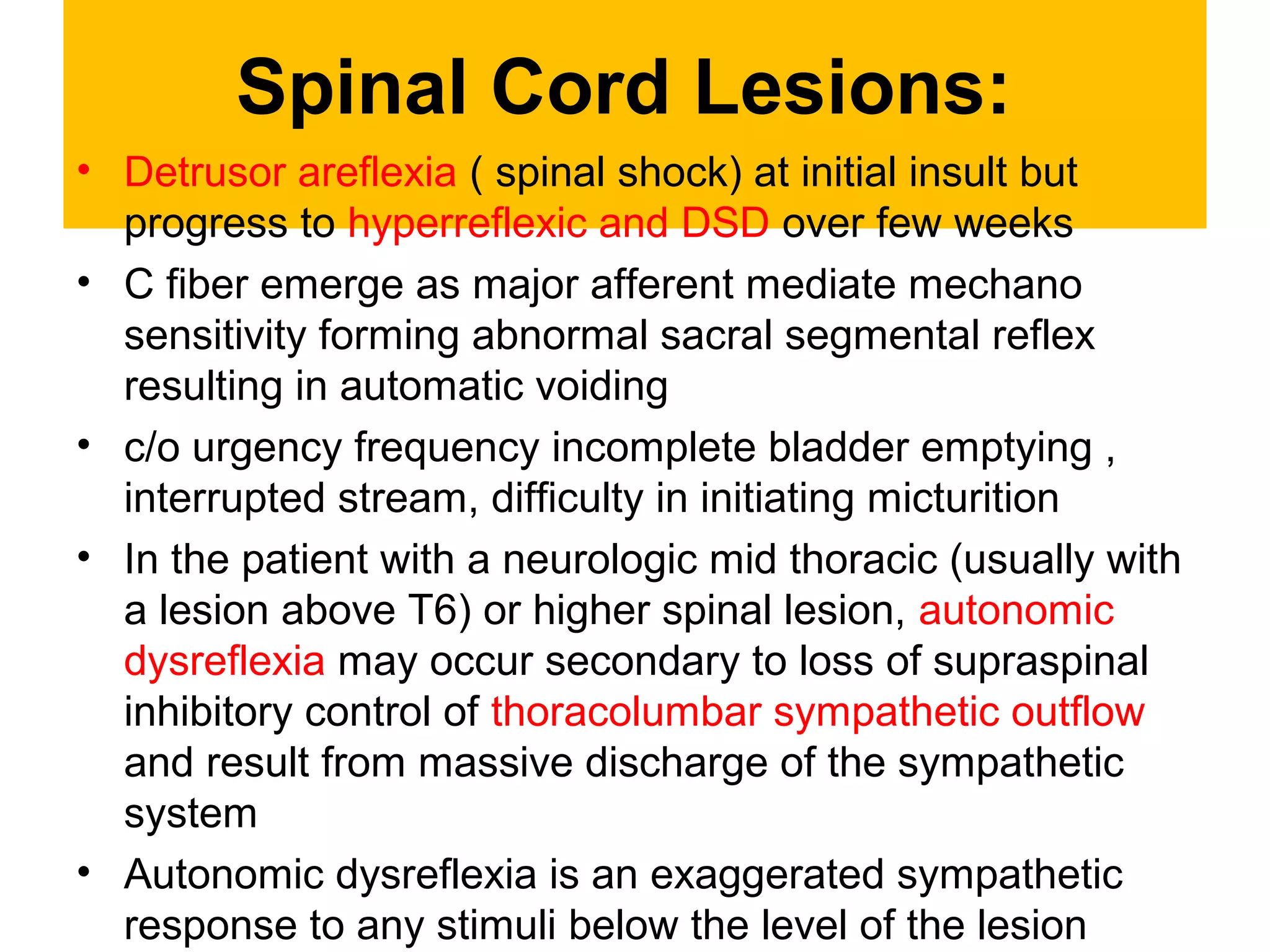 Neurogenic Bladder | PPT
