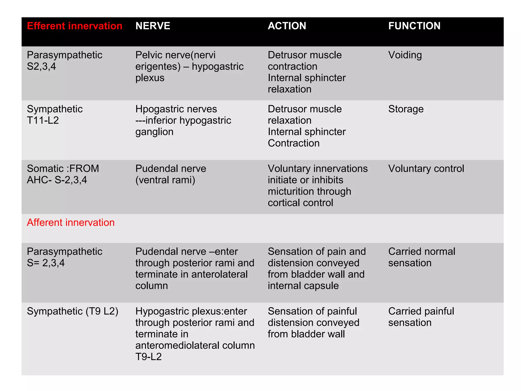 Neurogenic Bladder | PPT