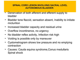 Neurogenic Bladder | PPT