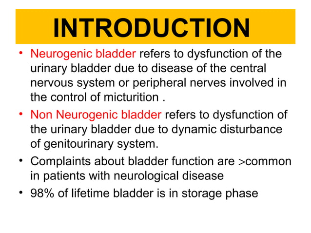 Neurogenic Bladder | PPT