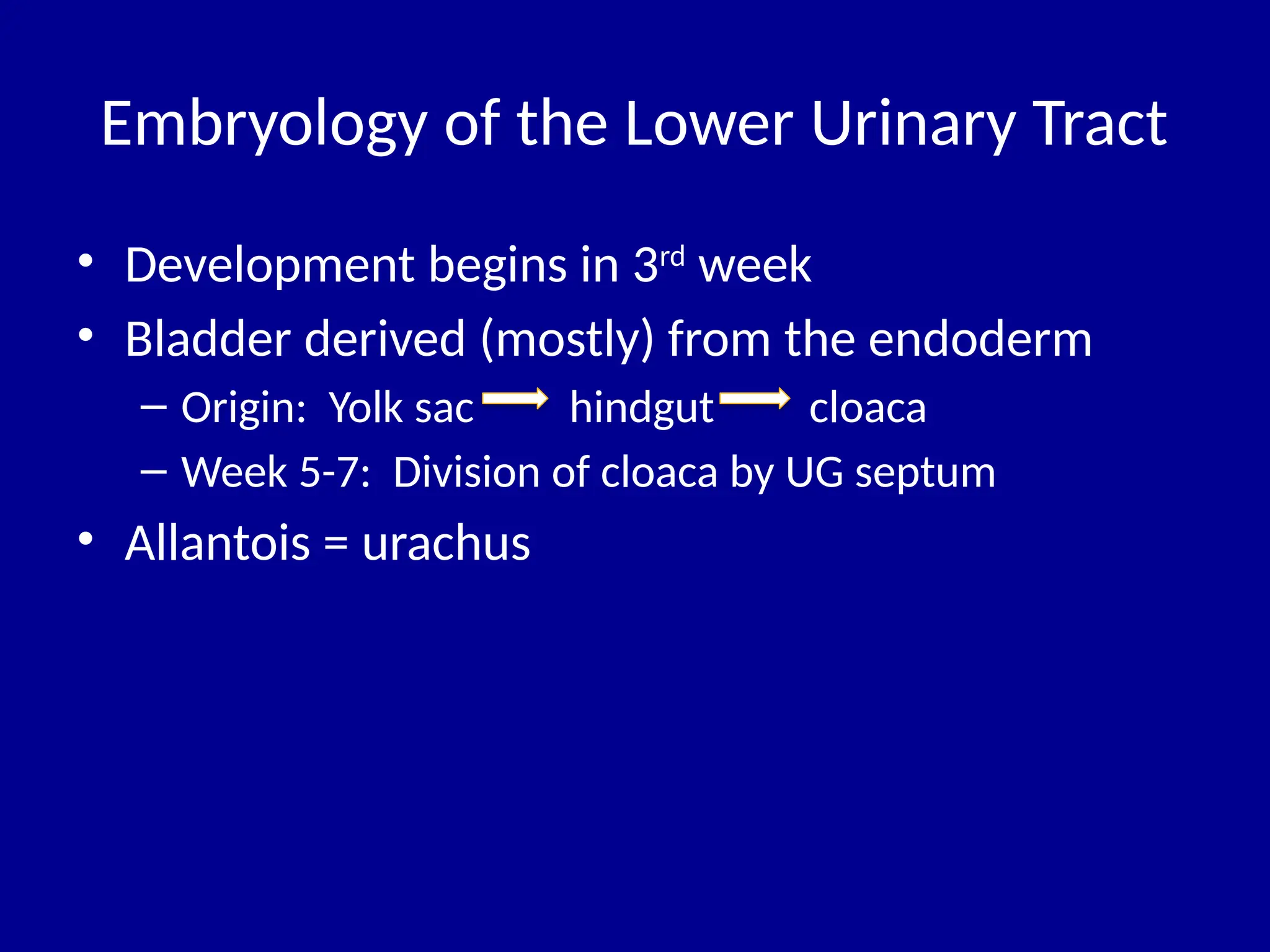Neurogenic Bladder in children as child bladder affect due to nerve ...