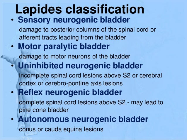 Neurogenic bladder classification