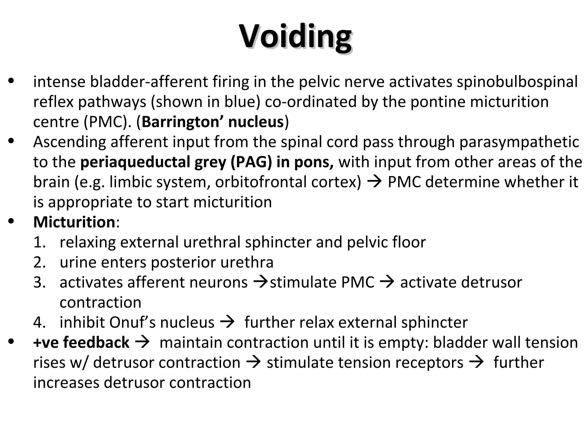 Neurogenic bladder [Dr. Edmond Wong] | PPT
