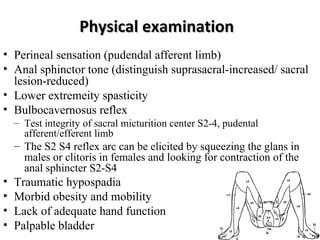 Neurogenic bladder [Dr. Edmond Wong] | PPT
