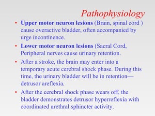 Neurogenic bladder & Urinary diversion.pptx