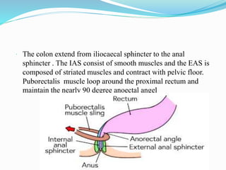 Neurogenic bowel by Dr shyam sunder sharma | PPTX