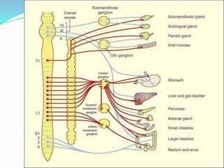 Neurogenic bowel by Dr shyam sunder sharma | PPTX