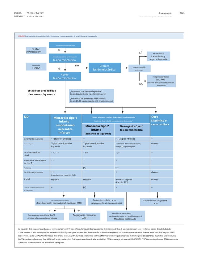 Neurogenic cardiac injury Interacción cerebro corazón .en.es.pdf