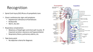 Neurogenic shock | PPTX