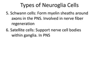 Neuroglia | PPTX