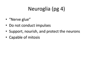 Neuroglia | PPTX