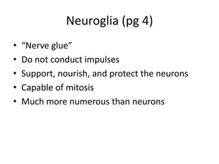 Neuroglia | PPTX