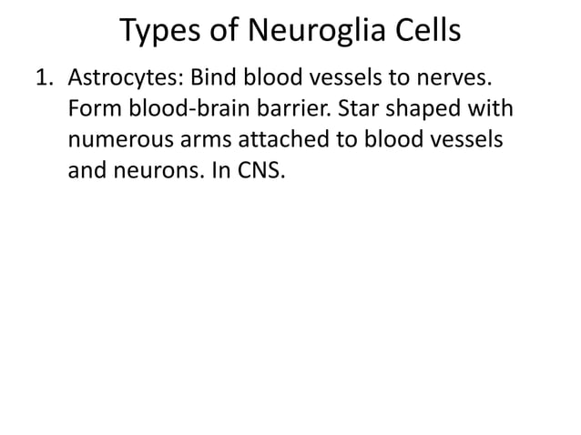 Neuroglia | PPT