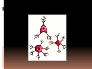 Neuroglia.ppt