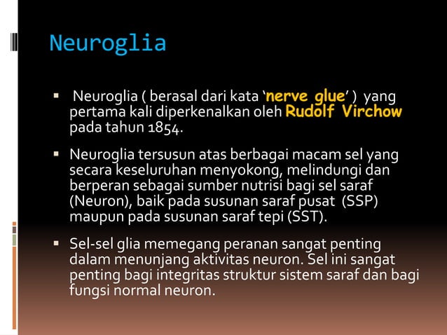 Neuroglia.ppt