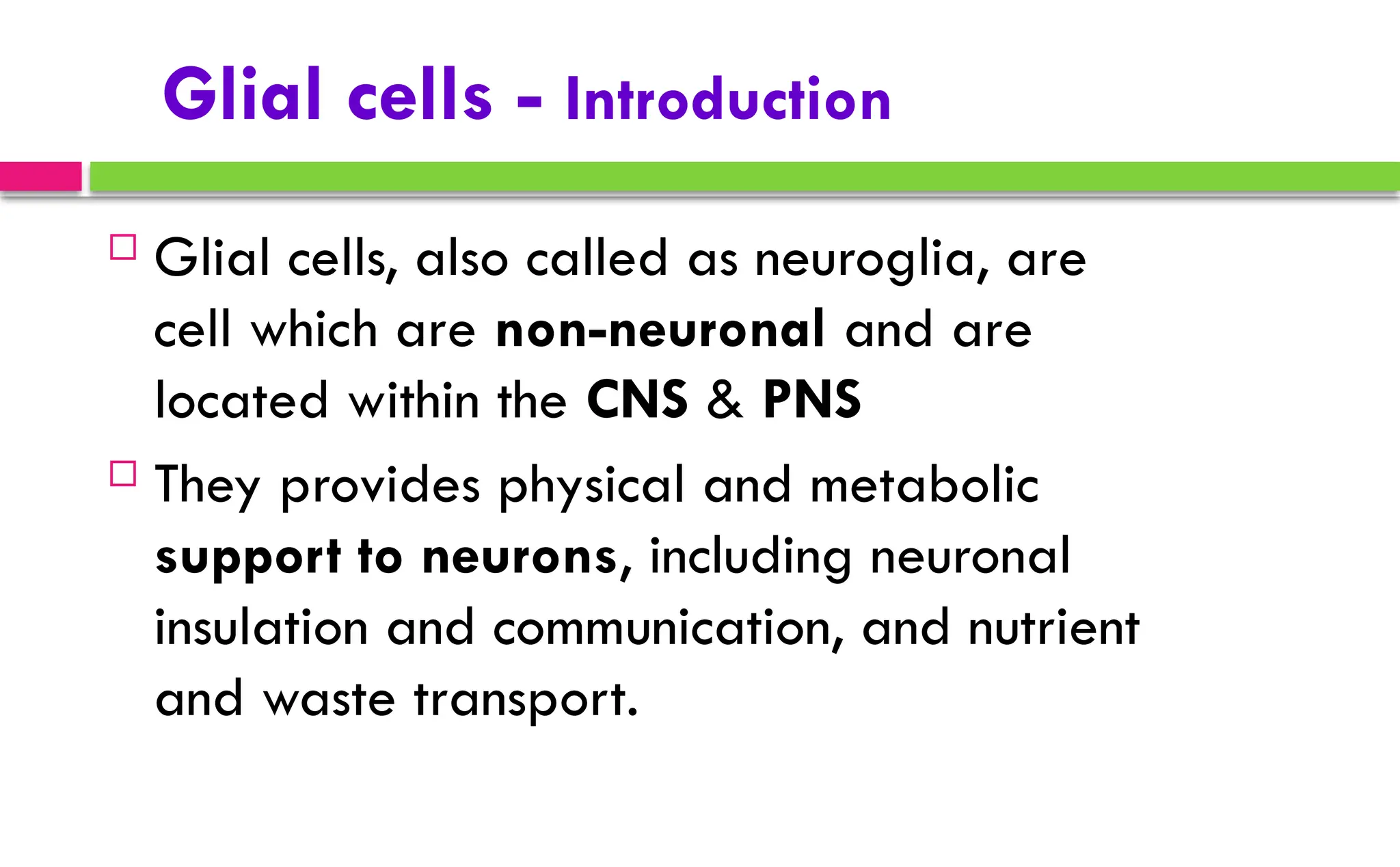 neuroglia the supporting cells of cns .pptx