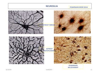 Neuroglia baru | PPTX