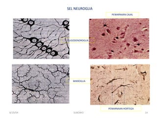 Neuroglia baru | PPTX