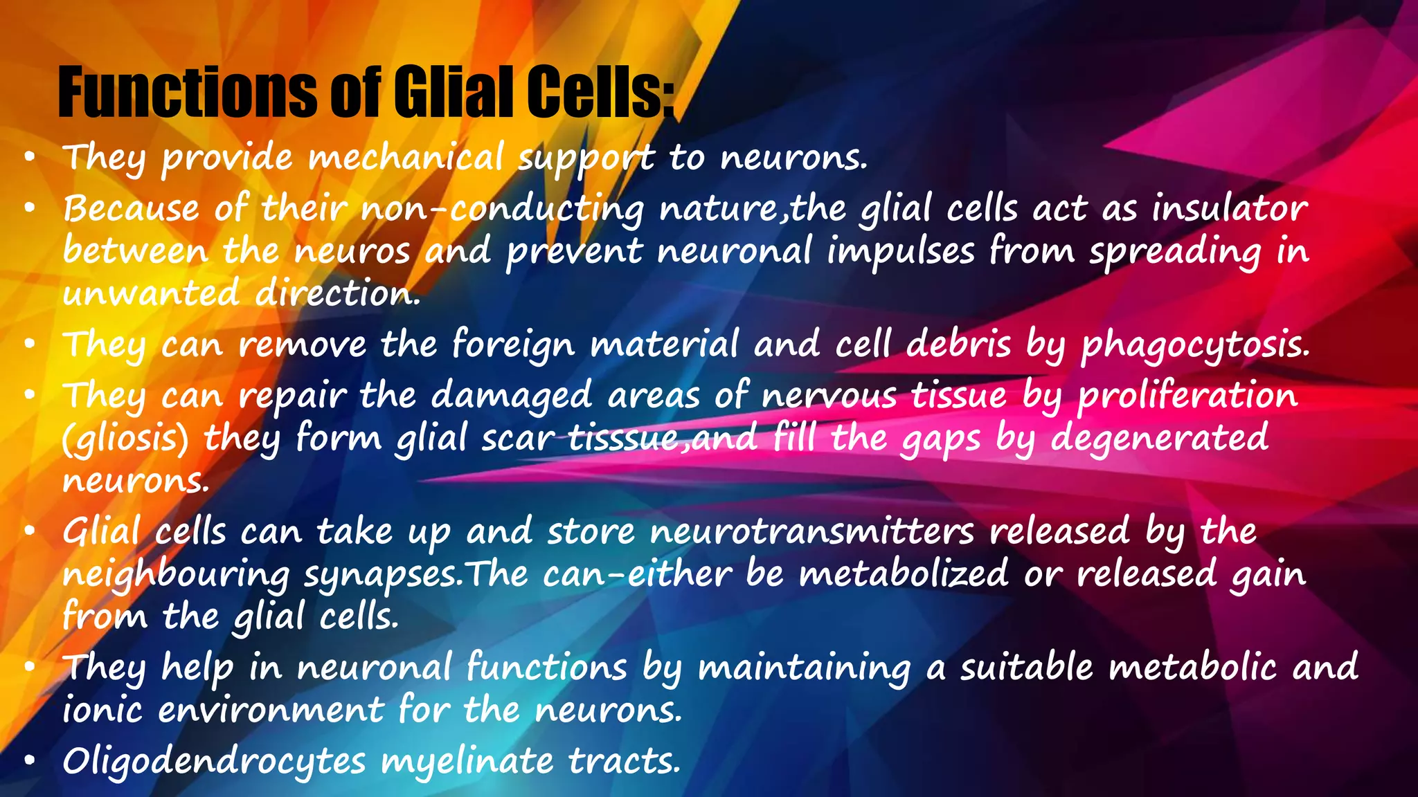 Classification,Function and location fo neuroglia cells | PPT