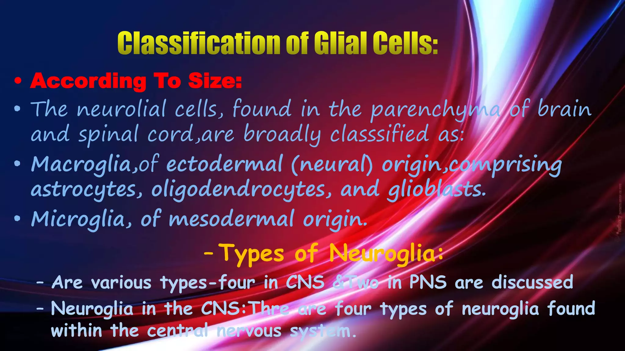 Classification,Function and location fo neuroglia cells | PPT