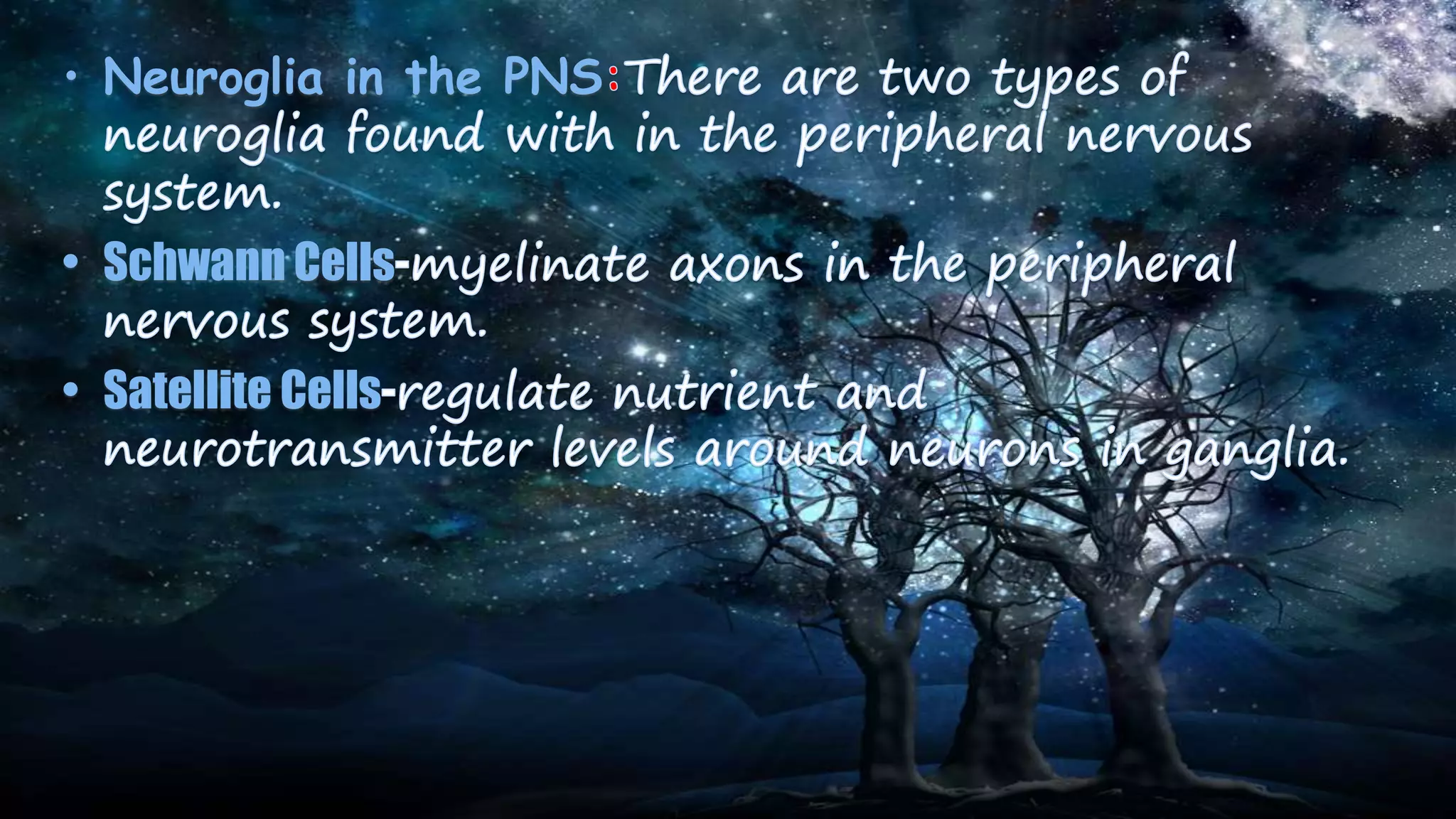 Classification,Function and location fo neuroglia cells | PPT
