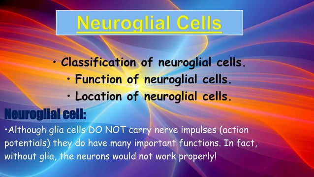 Classification,Function and location fo neuroglia cells | PPT | Brain ...