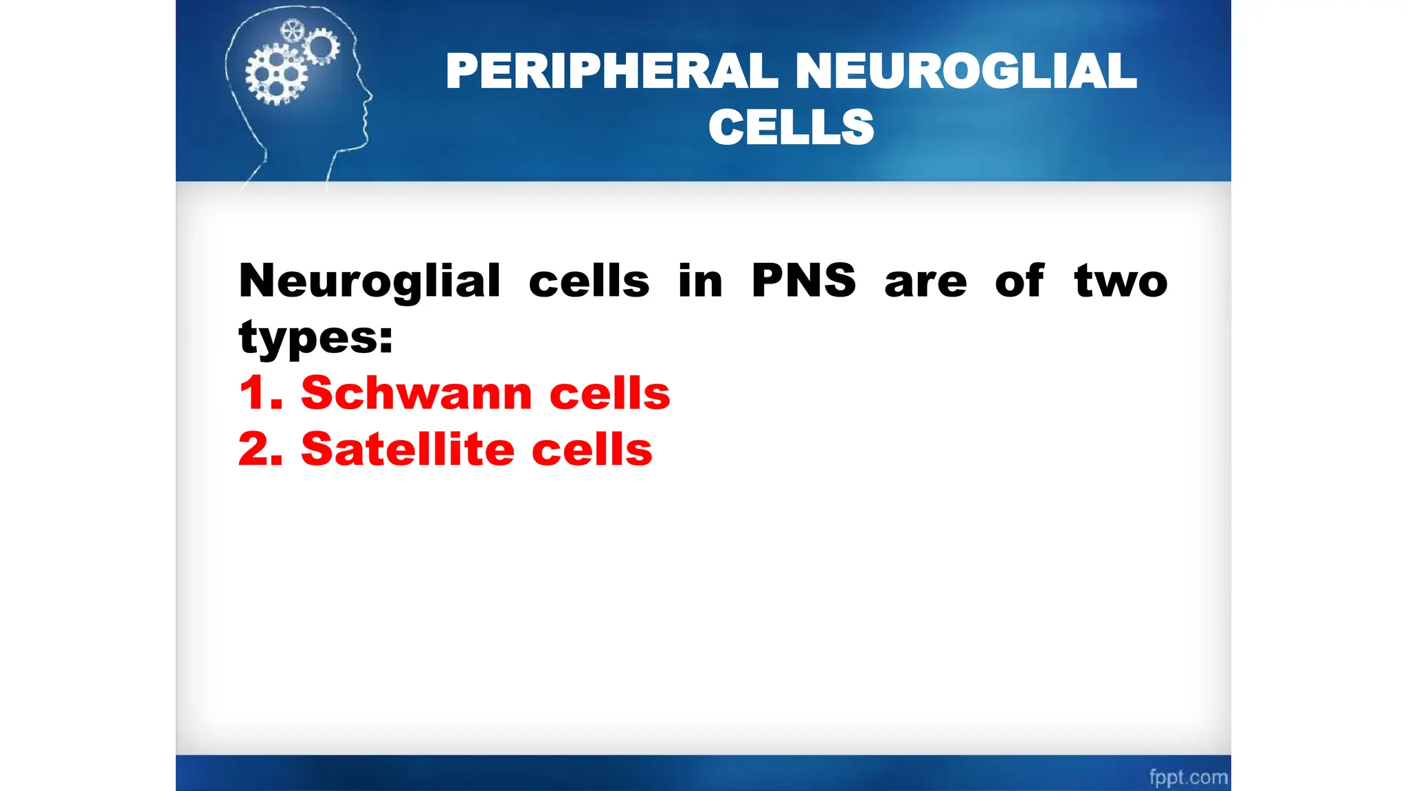 NEUROGLIA CELLS, CLASSIFICATION IN CNS & PNS.pptx