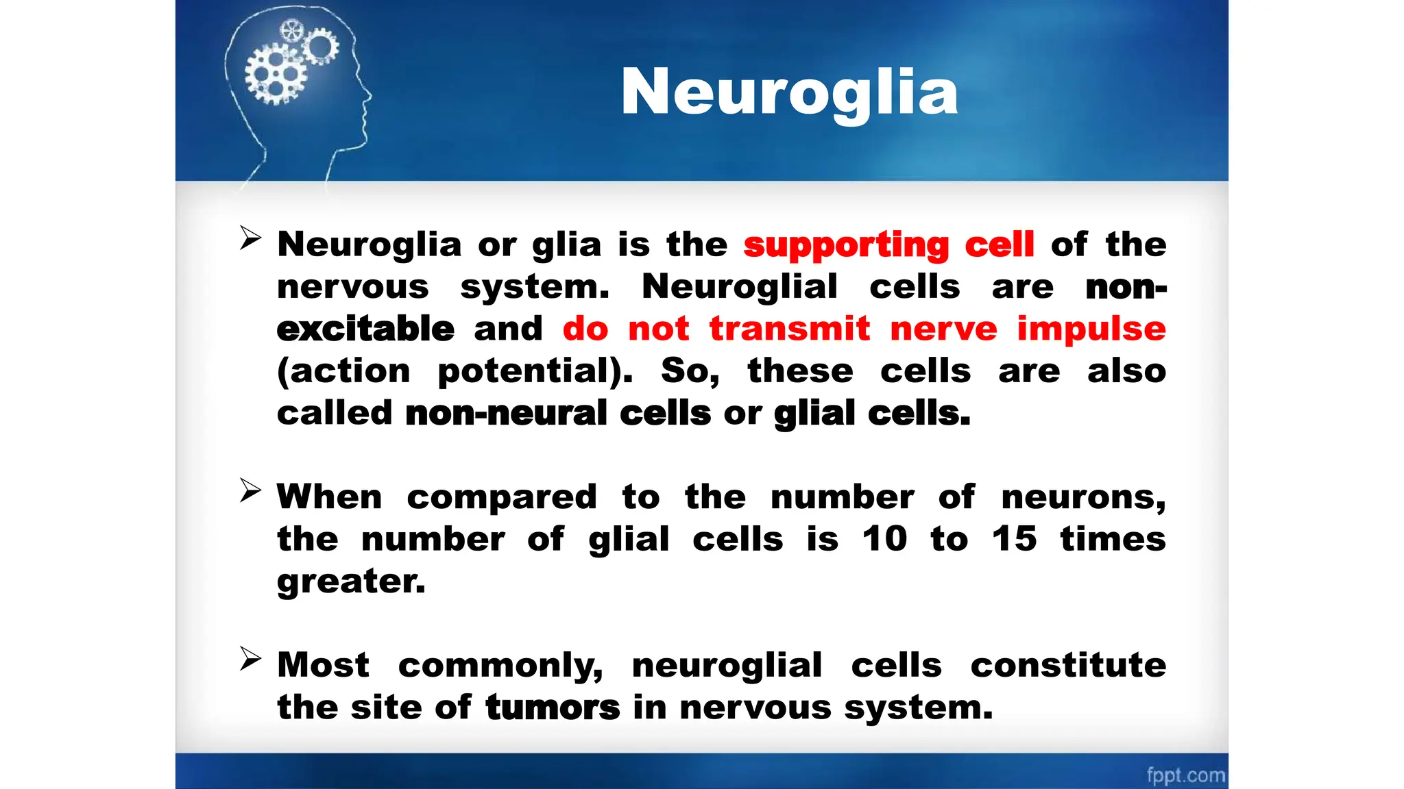 NEUROGLIA CELLS, CLASSIFICATION IN CNS & PNS.pptx