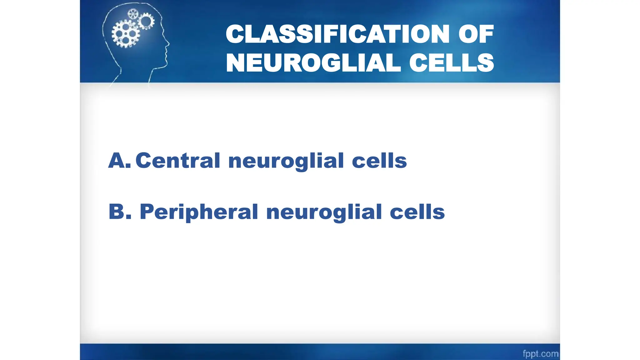 NEUROGLIA CELLS, CLASSIFICATION IN CNS & PNS.pptx