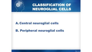 NEUROGLIA CELLS, CLASSIFICATION IN CNS & PNS.pptx