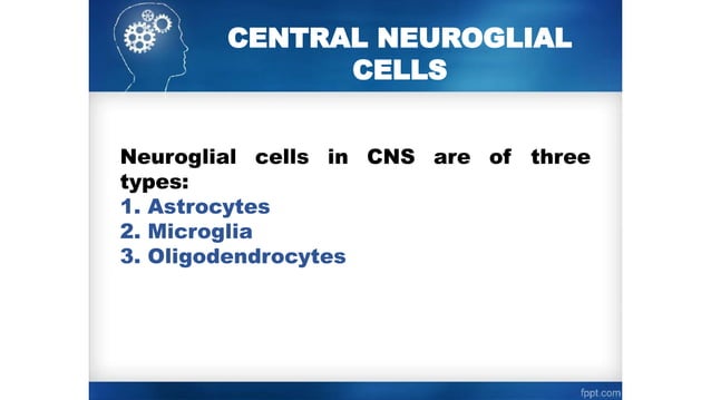 NEUROGLIA CELLS, CLASSIFICATION IN CNS & PNS.pptx
