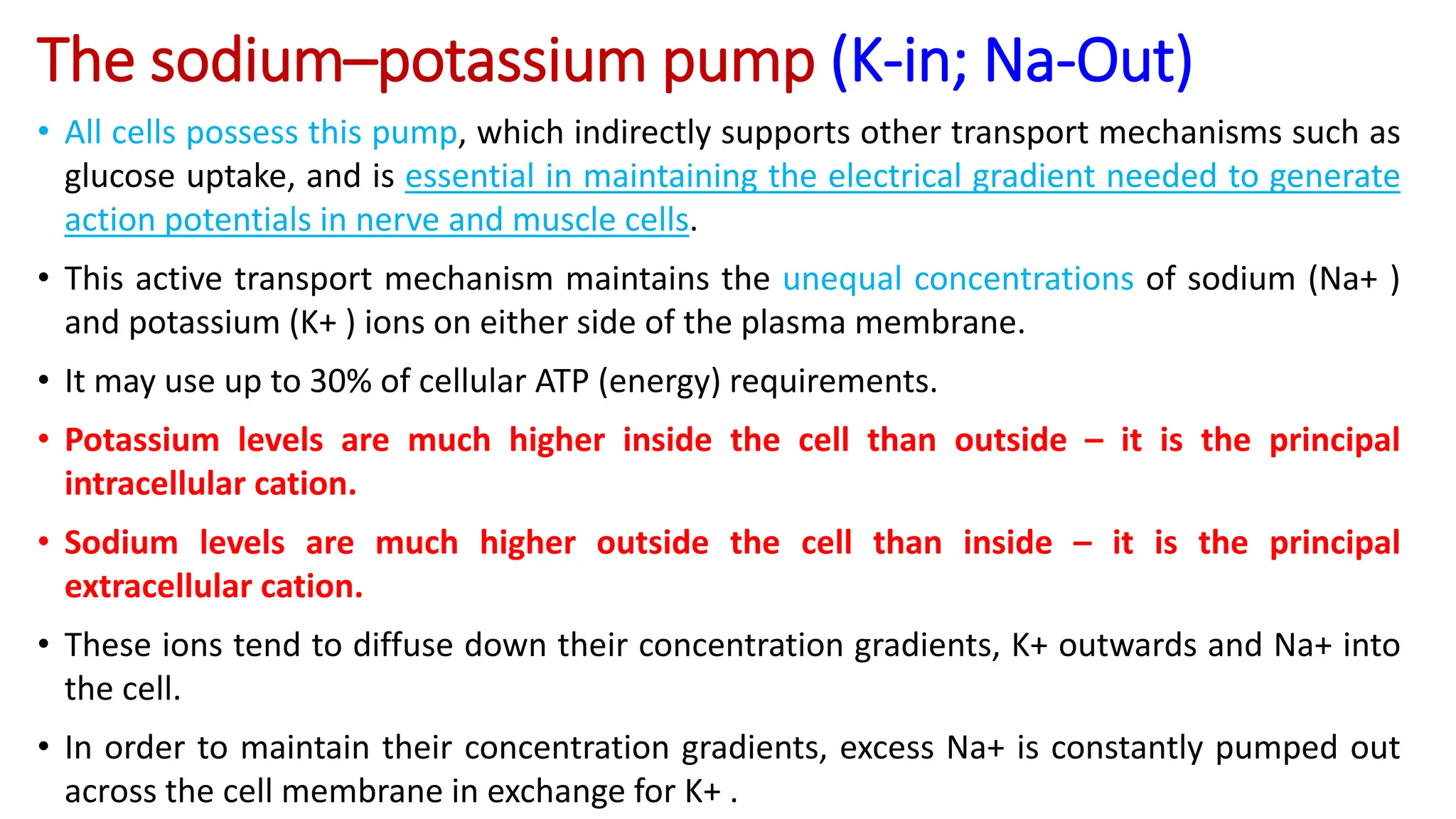 Neuroglia, nerve fiber, action potential, synapse, neurotransmitters.ppt