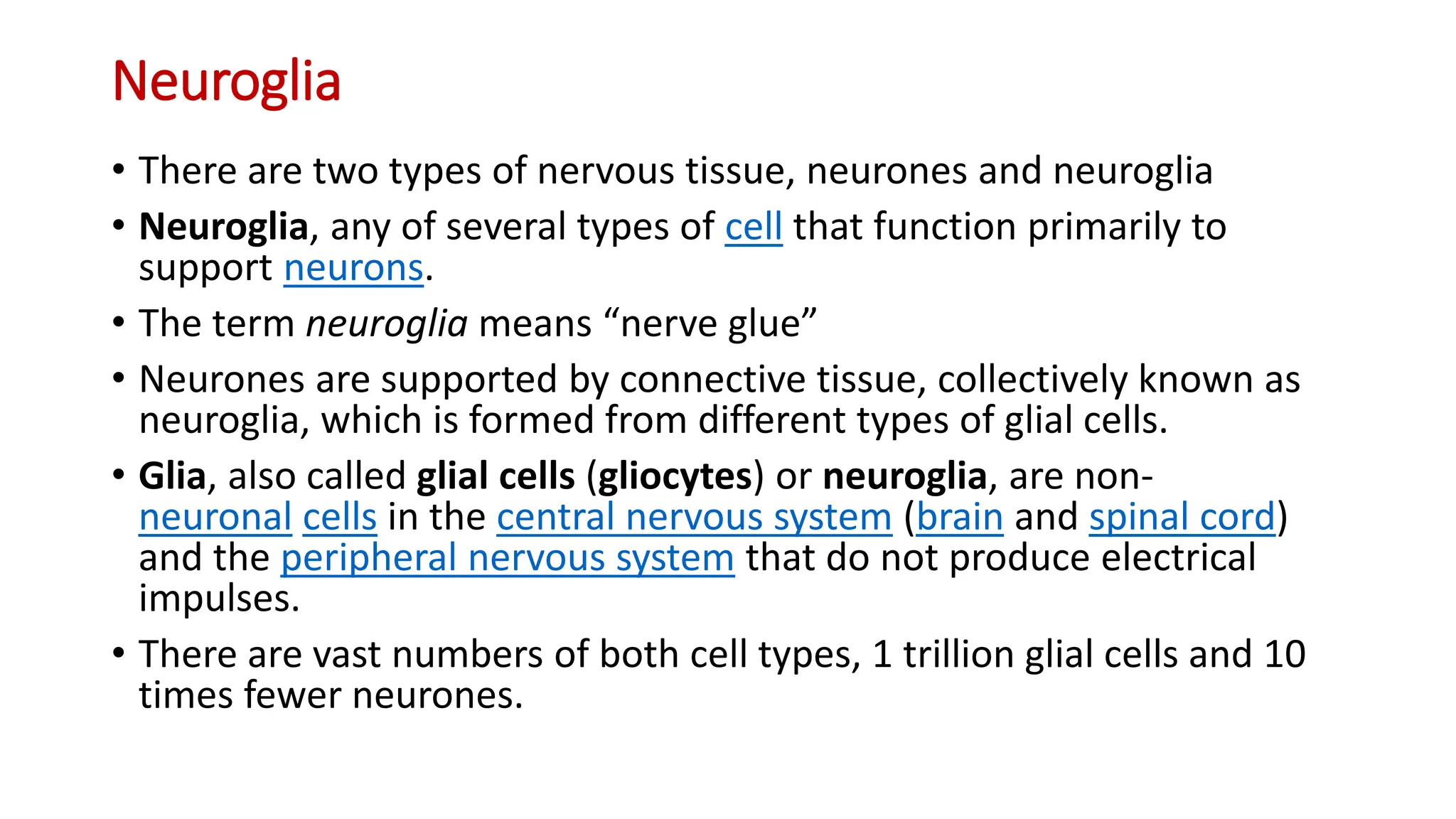 Neuroglia, nerve fiber, action potential, synapse, neurotransmitters.ppt
