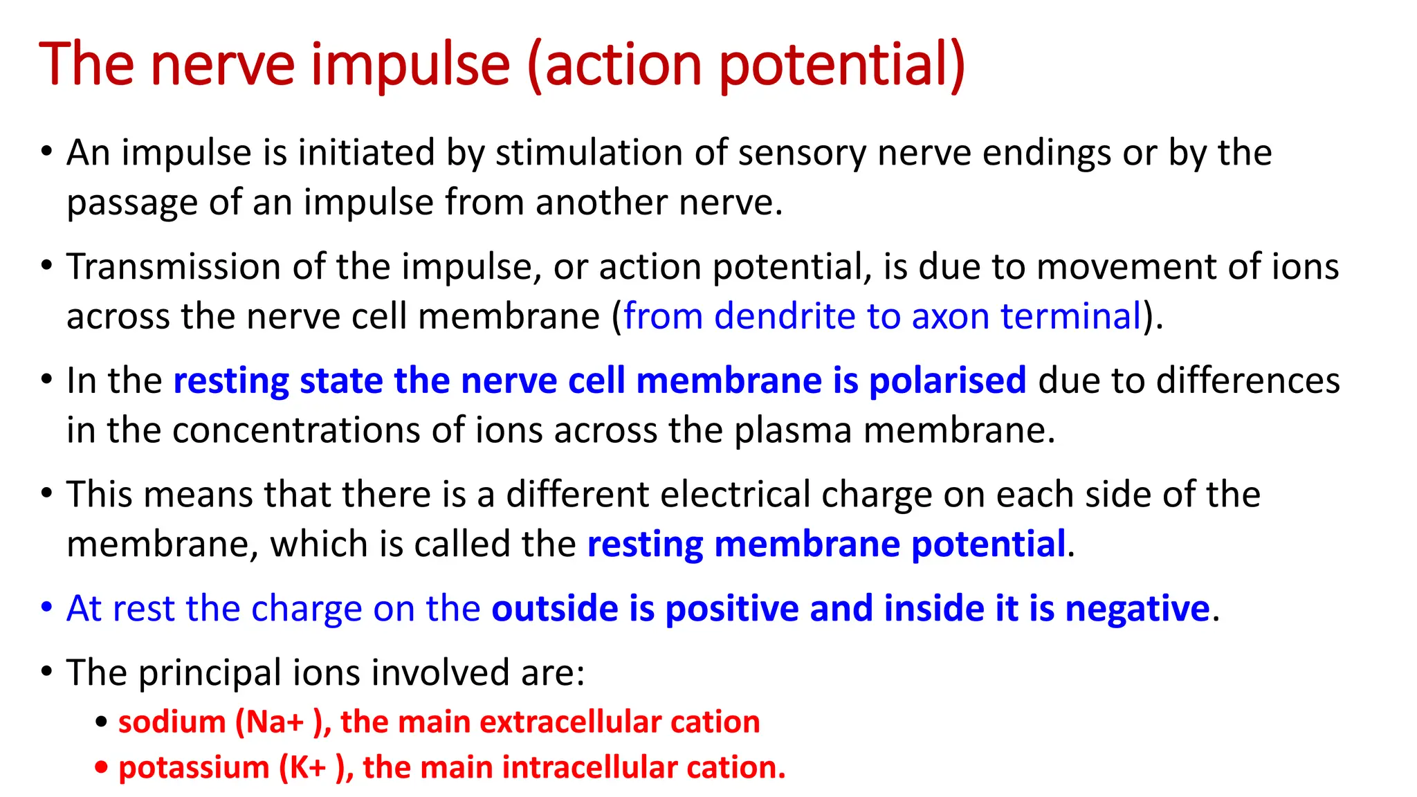 Neuroglia, nerve fiber, action potential, synapse, neurotransmitters.ppt
