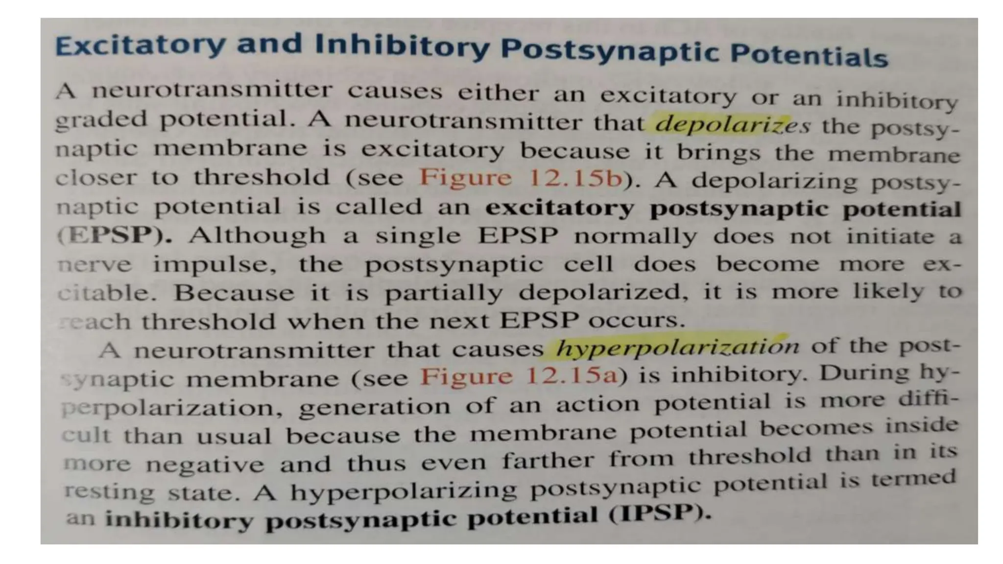 Neuroglia, nerve fiber, action potential, synapse, neurotransmitters.ppt