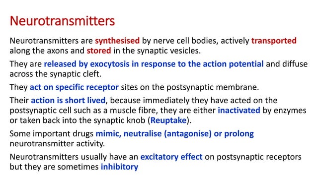 Neuroglia, nerve fiber, action potential, synapse, neurotransmitters.ppt | Brain and Nervous ...