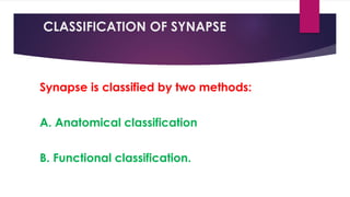 Neuroglia, syapse | PPTX