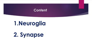 Neuroglia, syapse | PPTX