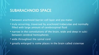 Neurohisto | PPT