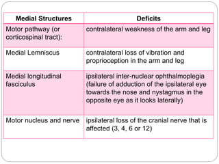Neuroanatomy (generally) | PPTX