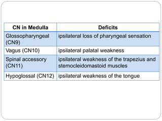 Neuroanatomy (generally) | PPTX