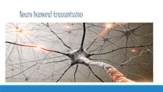 Neuro humoral transmission | PPTX